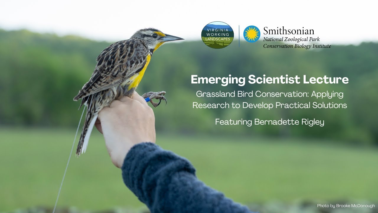 Emerging Scientist Lecture with Bernadette Rigley - YouTube