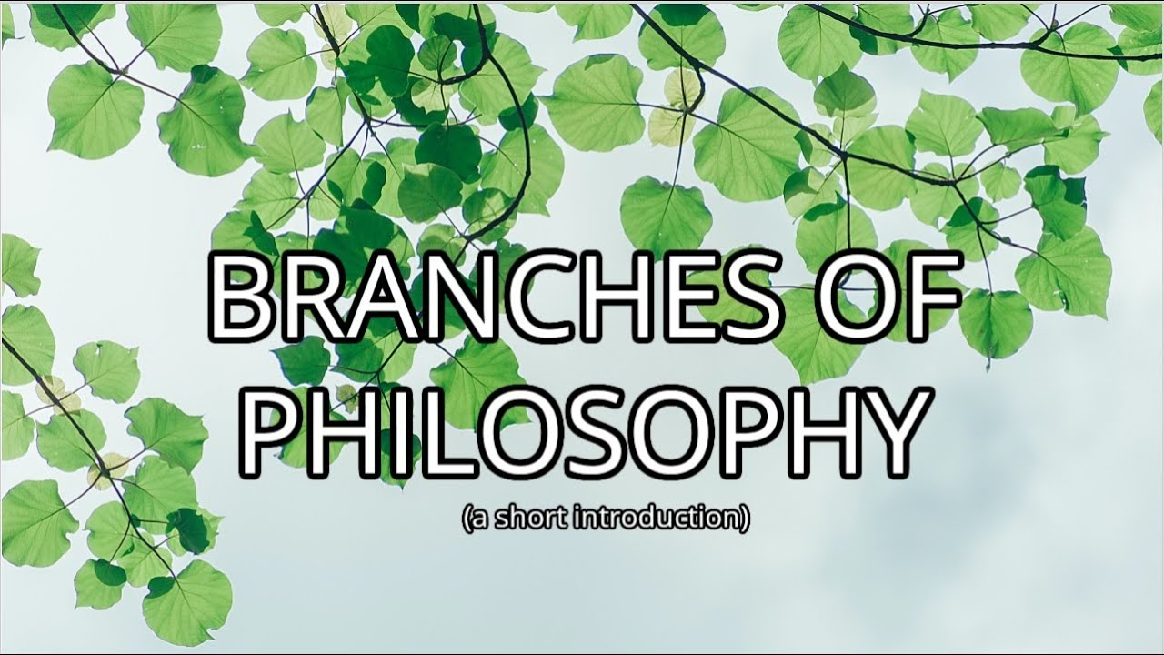 The BRANCHES of PHILOSOPHY - A quick and concise introduction - YouTube