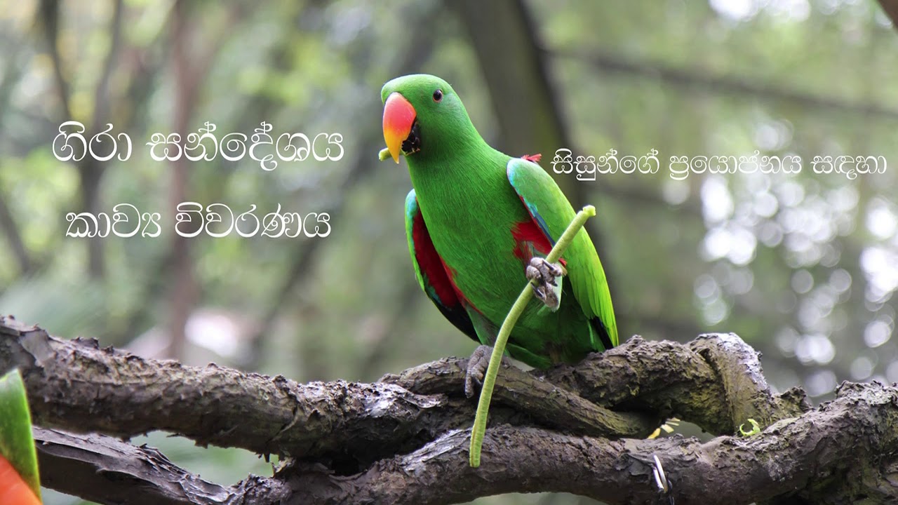 Gira Sandeshaya - YouTube