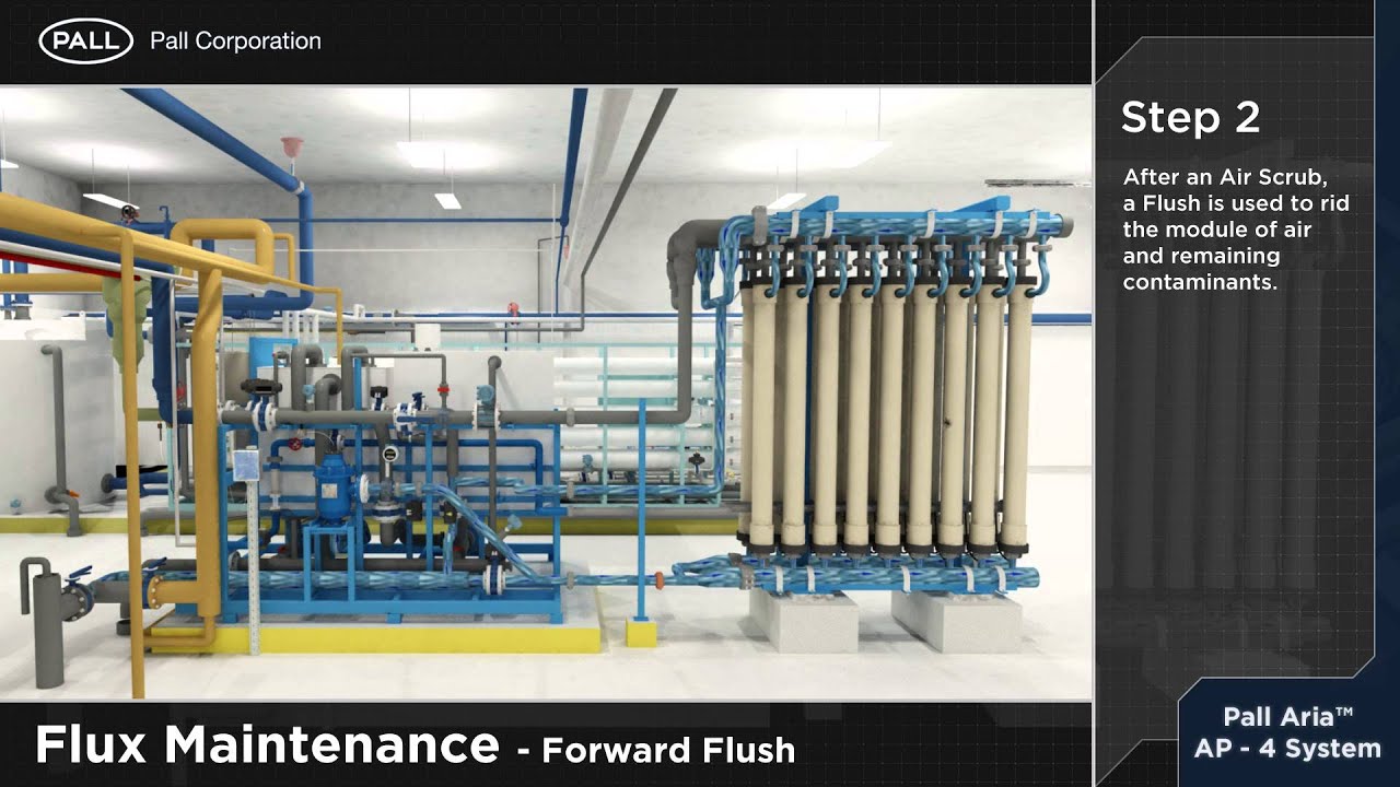 Flux Maintenance Forward Flush - YouTube