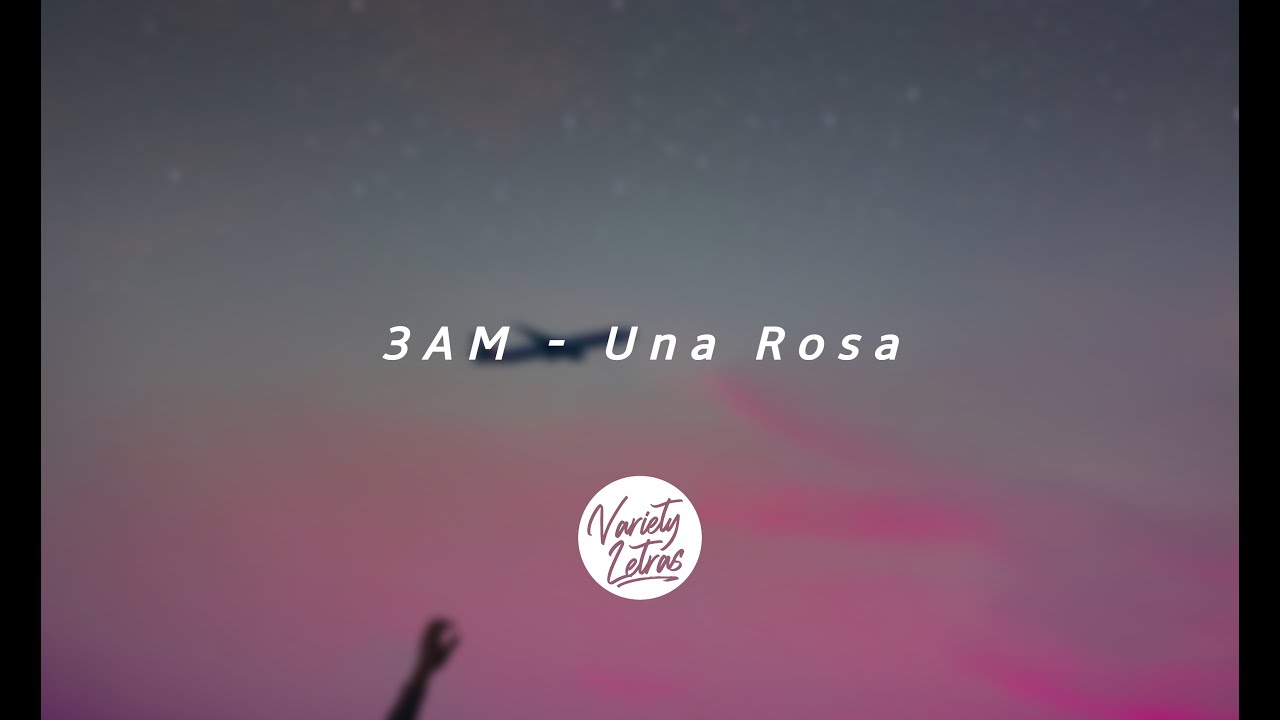3AM - Una Rosa 💔 /letra - YouTube