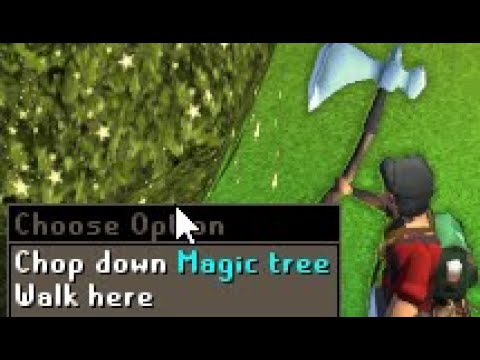 How To Get Magic Roots Osrs