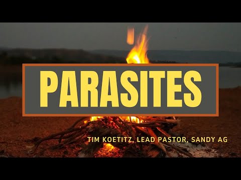 PARASITES - YouTube