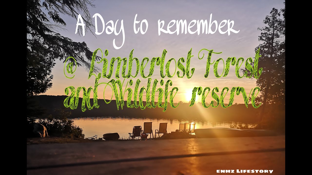 Owl's Nest Getaway2020(Limberlost Forest And Wildlife Reserved ...