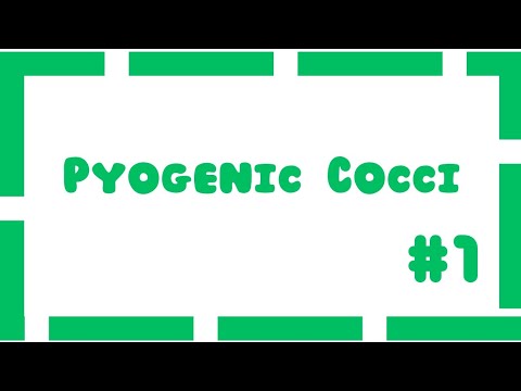 ما هي الـ Pyogenic Cocci؟ (1#) - YouTube