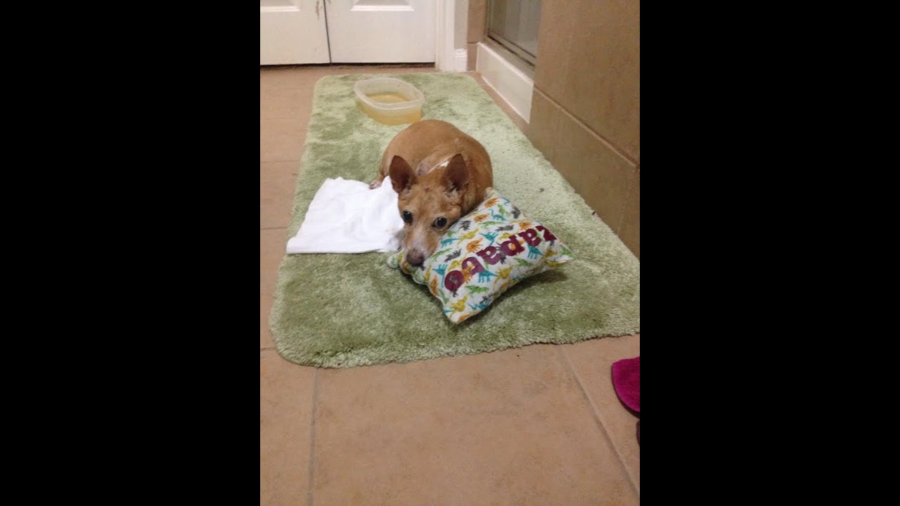 Michael Lee Band: Let Go (Music Video) - YouTube