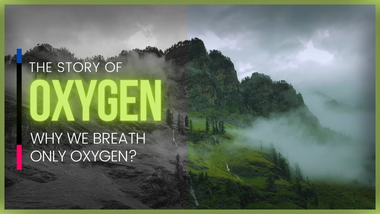THE STORY OF OXYGEN || WHAT SCIENCE SAYS - YouTube