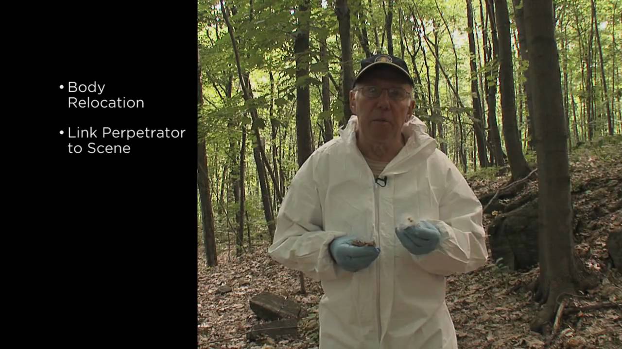 Forensic Science Field Techniques - Forensic Botany - YouTube