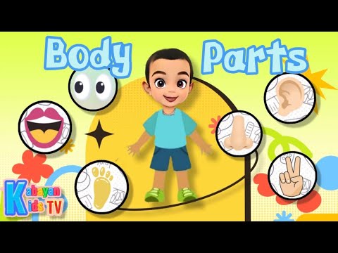 Kids Body Parts - Learn about parts of the body - YouTube