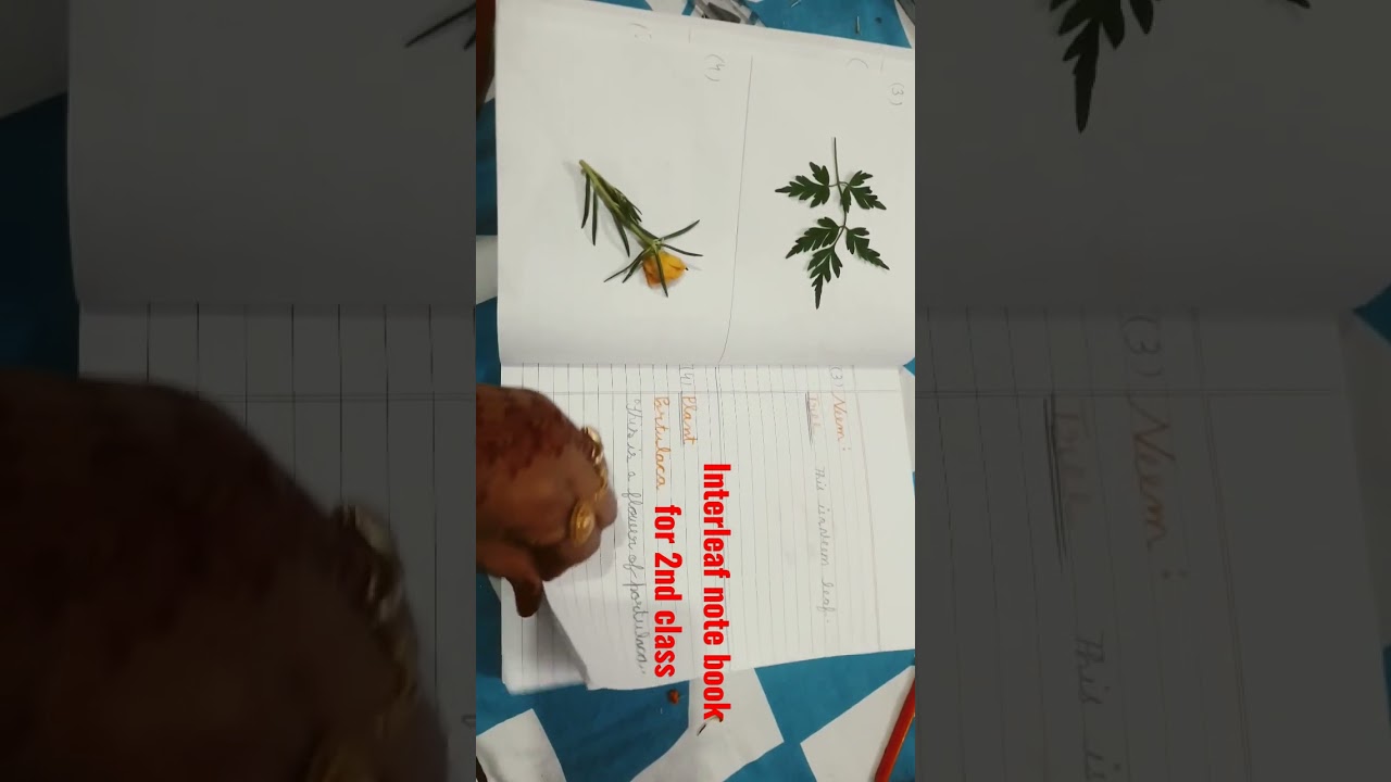interleaf note book for 2nd class - YouTube