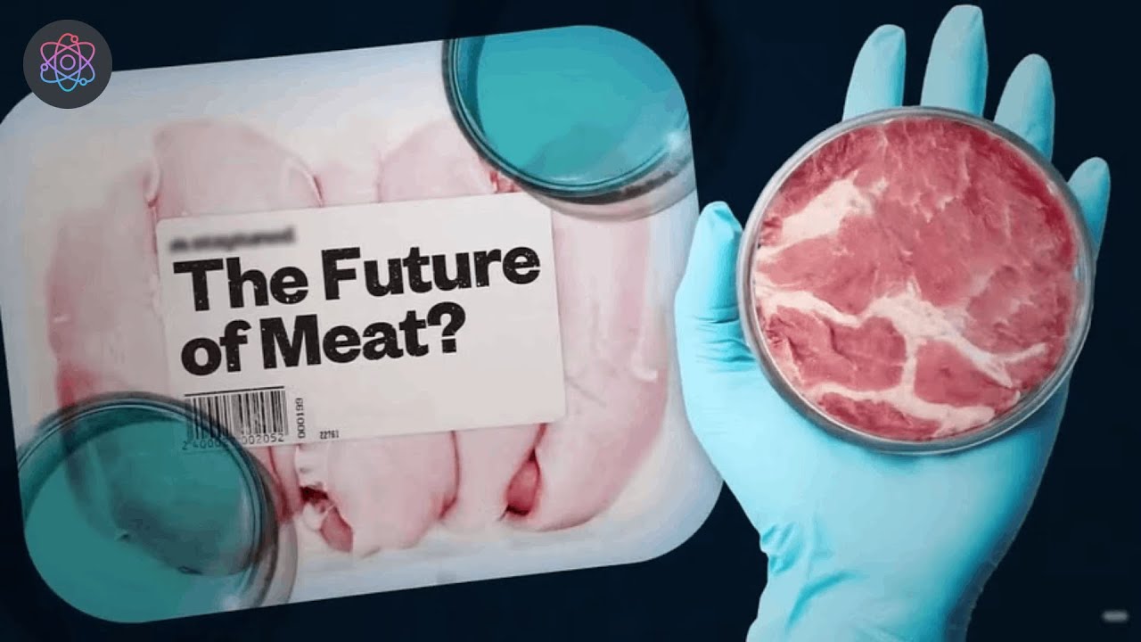 Lab-grown meat: Is it the future of meat? - YouTube
