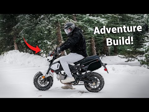 Turning a $1,500 Grom Clone Into The Ultimate Adventure Bike!