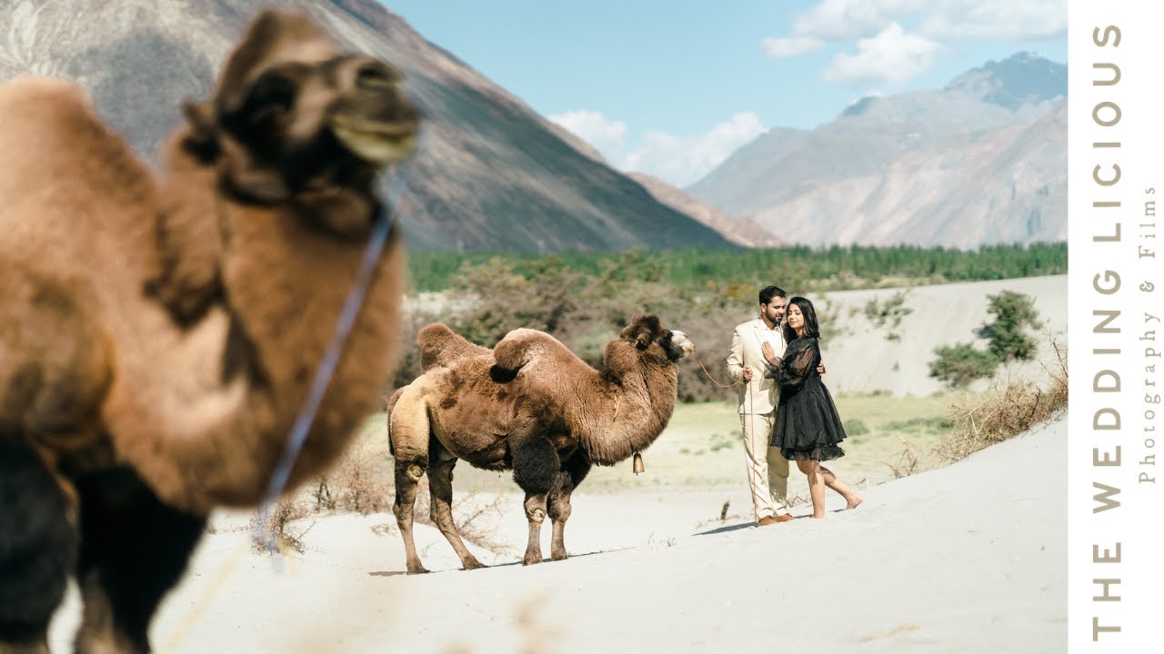 Best Pre-Wedding Ladakh | The Wedding Licious - YouTube