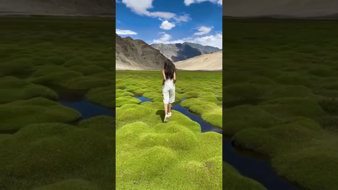 The wonderland of Puga Valley in Ladakh, India - YouTube