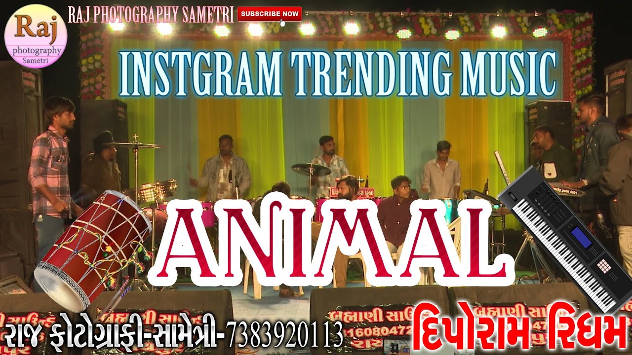 ||ANIMAL NEW TRENDING MUSIC RIDHAM SONG 2024||#trending #music #2024 ...