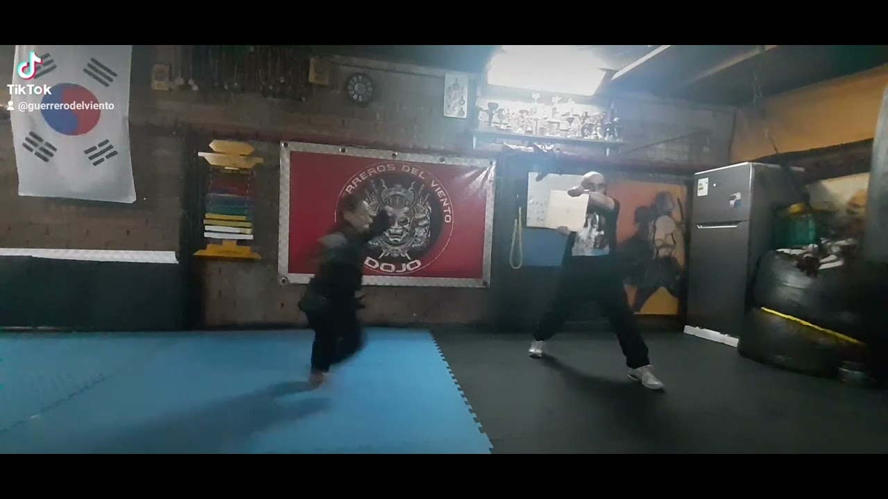 540 hook kick/patada gancho - YouTube