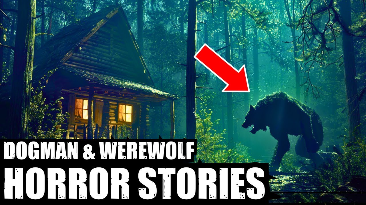 15 TRUE EXTREMELY INSANE SCARY DOGMAN & CRYPTID HORROR STORIES (DOGMAN ...