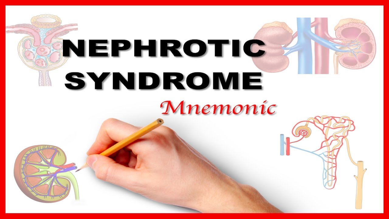 Nephritic Syndrome Causes