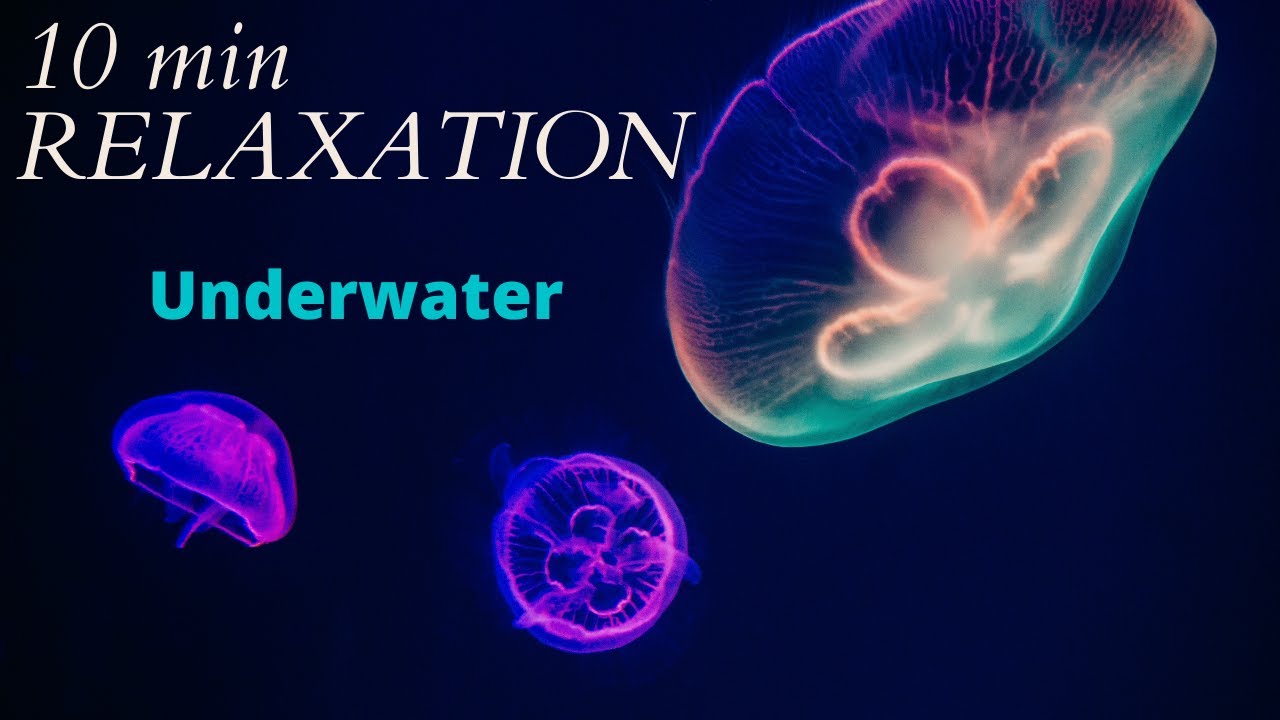 10 min Relaxation Underwater Beautiful - YouTube