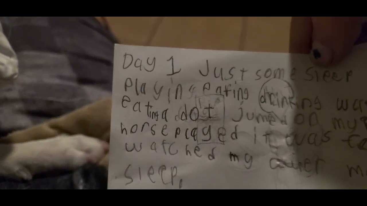monsters diary part 1 - YouTube