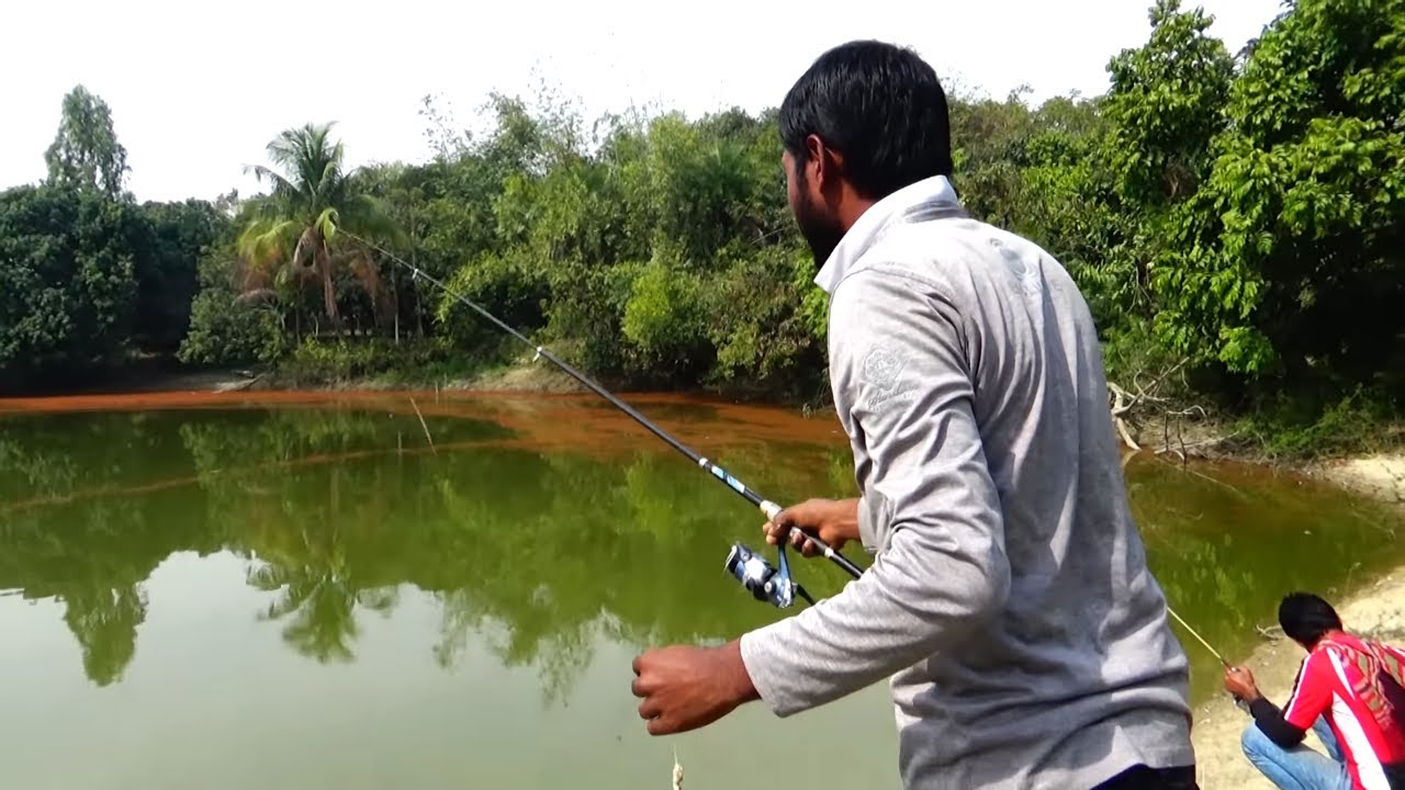 Best Fishing Scenes On The Village Pond By Rod And Reel - YouTube