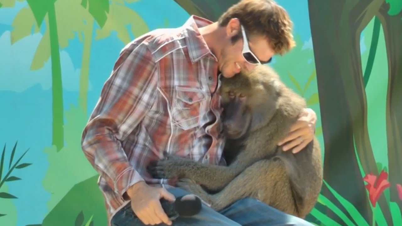 WILD ABOUT MONKEYS - Clark County Fair, 2015 - YouTube