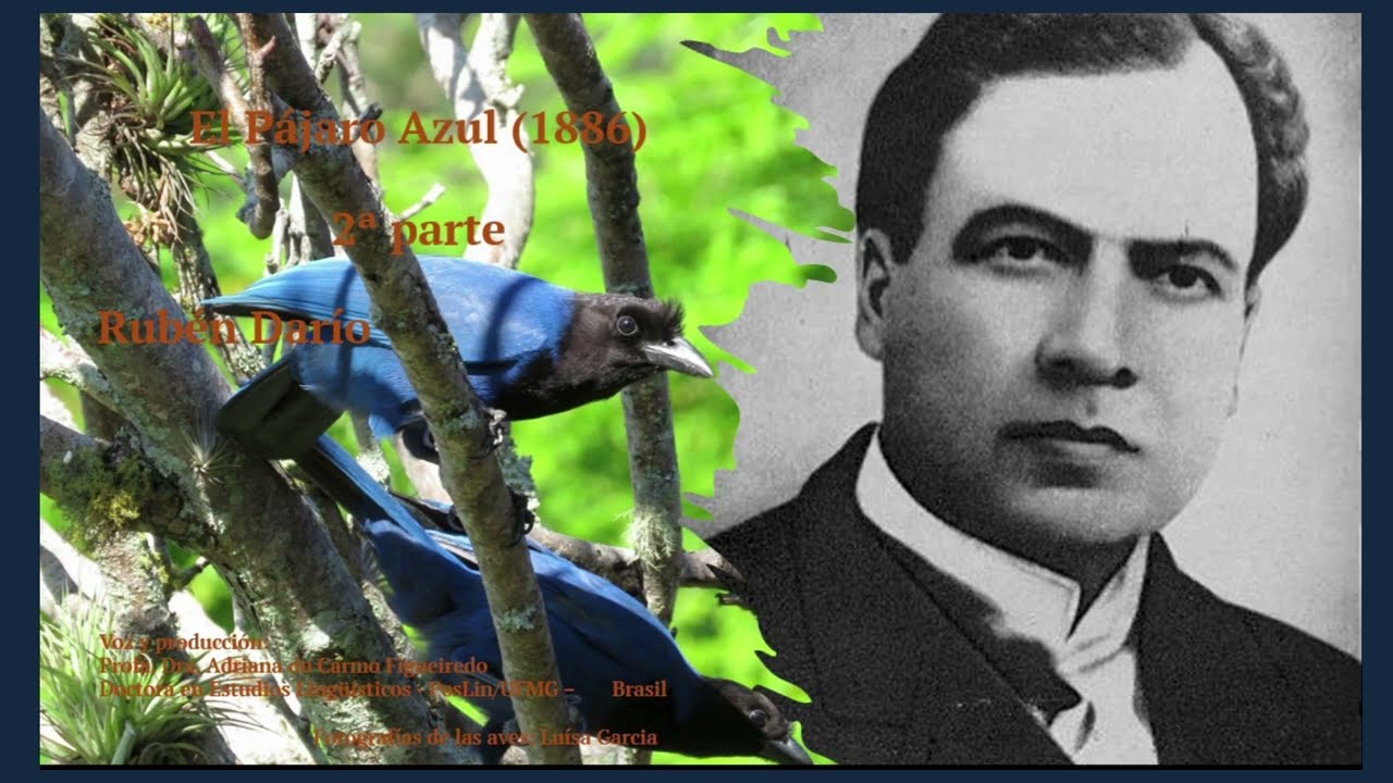 "El Pájaro Azul" de Rubén Darío - 2ª parte del cuento - YouTube