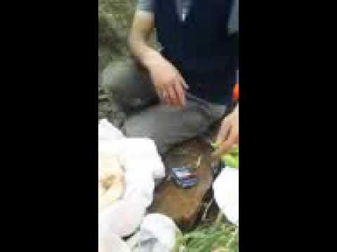 YUMURTAYLA SOĞAN YİYEN ADAM•÷•KALBİ OLAN İZLEMESİN