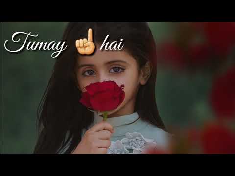 Chalay|| ana|| de|| de ||pyarr ||de ||ajay|| tabu| rakul ||lyrical ||video status romantic
