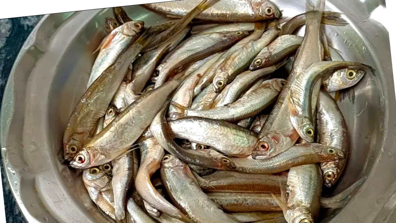 छोटी मछली बनाने का आसन तरीका small fish #machali recipe - YouTube