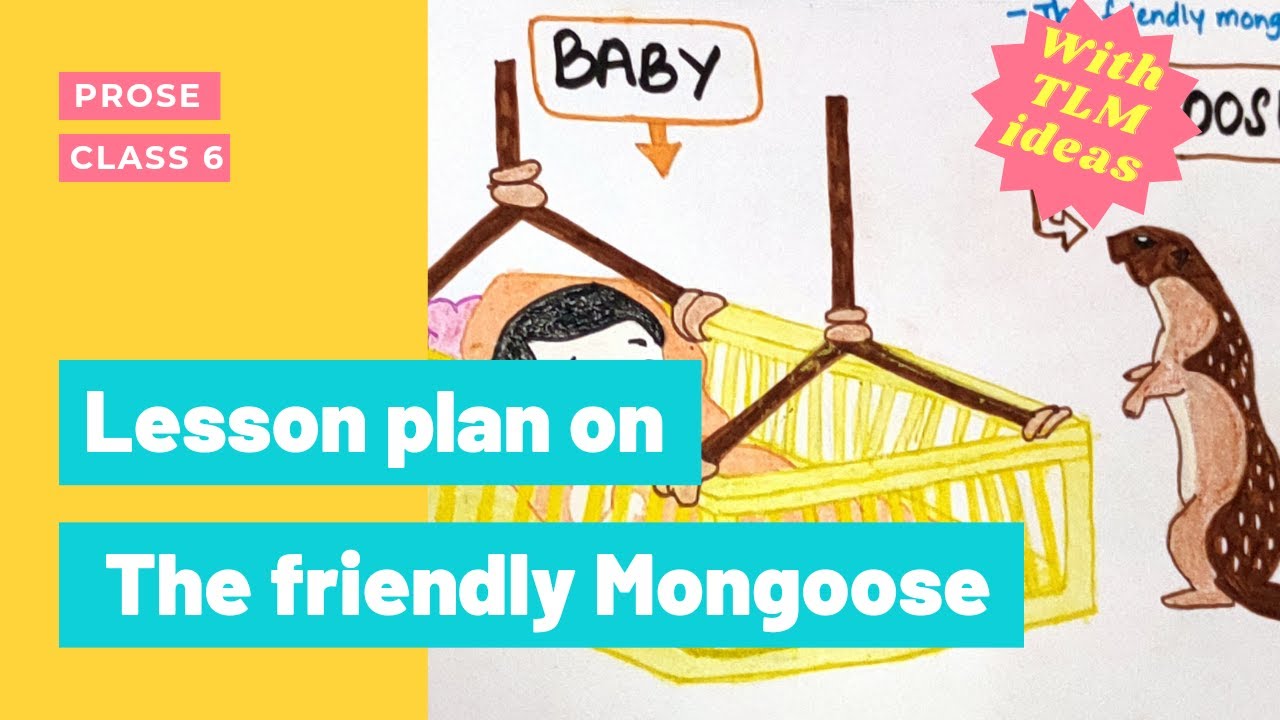 English lesson plan on the friendly mongoose | Class 6 #apactwiththesun - YouTube