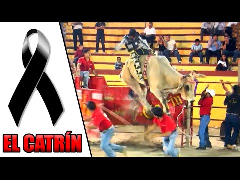 HOMENAJE AL TORO QUE VUELA // El catrín, sus mejores montas.
