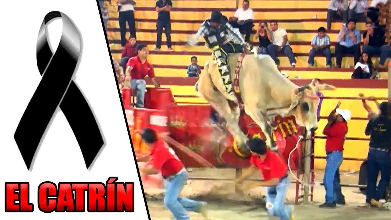 HOMENAJE AL TORO QUE VUELA // El catrín, sus mejores montas. - YouTube