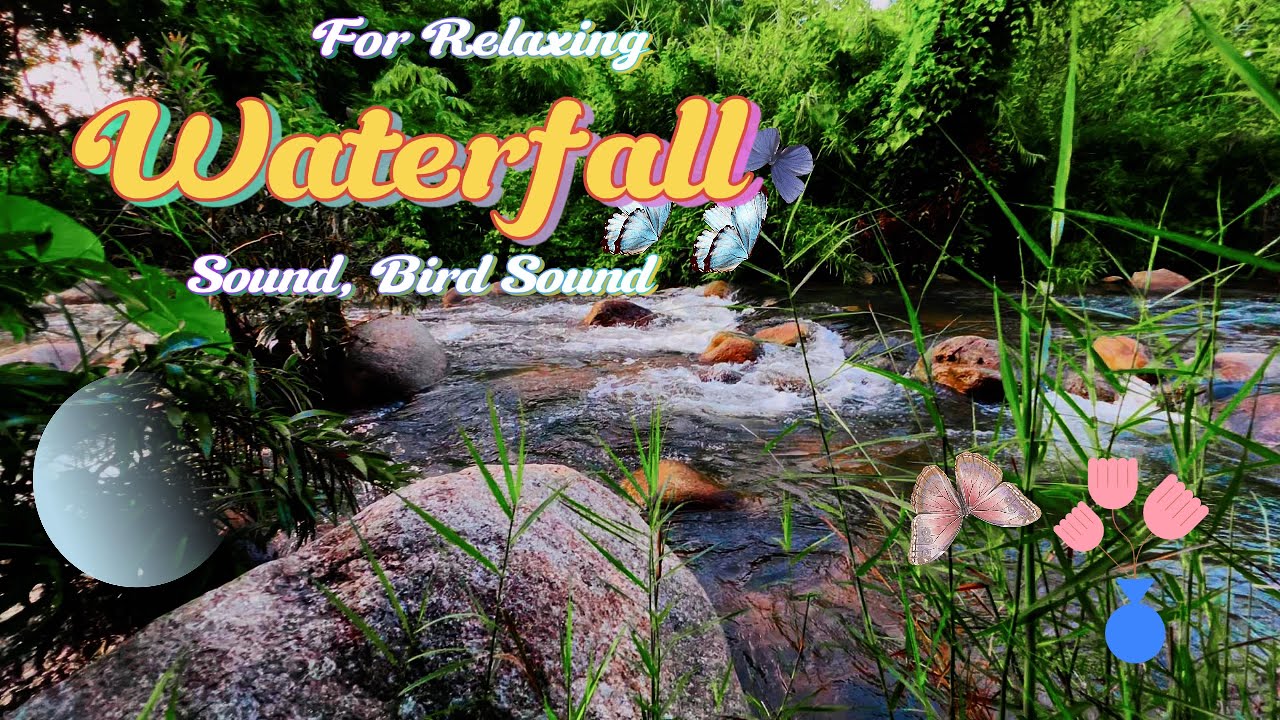 Live 4K HDR Relaxation with me in the Forest Waterfall Water Flowing ...