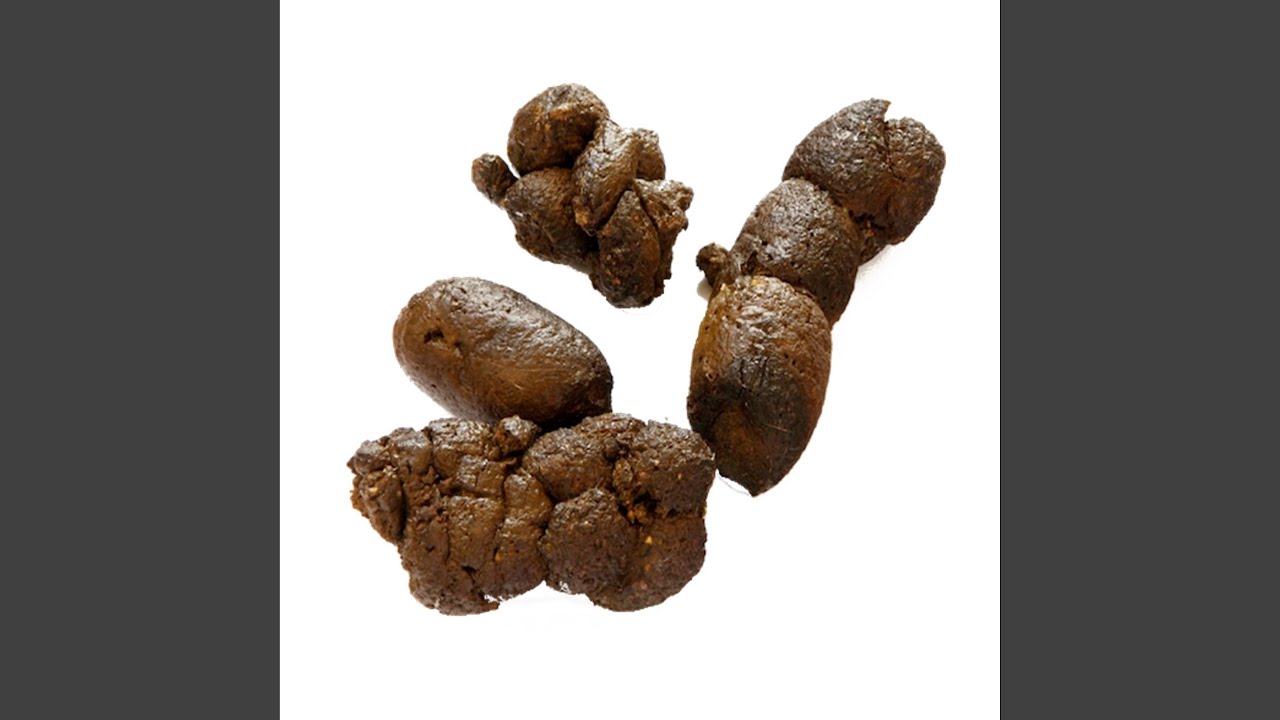 Kinderen zingen poepie doen! | Vieze grappige liedjes! - YouTube Music