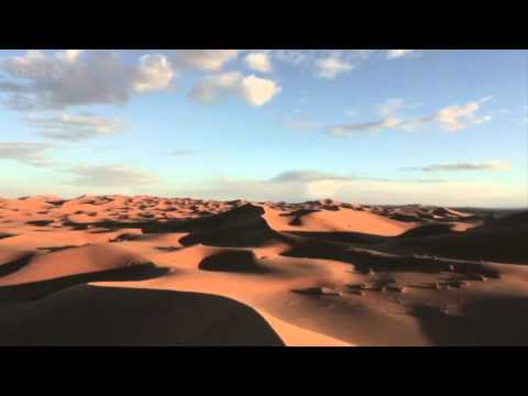 BBC MADNESS IN THE DESERT