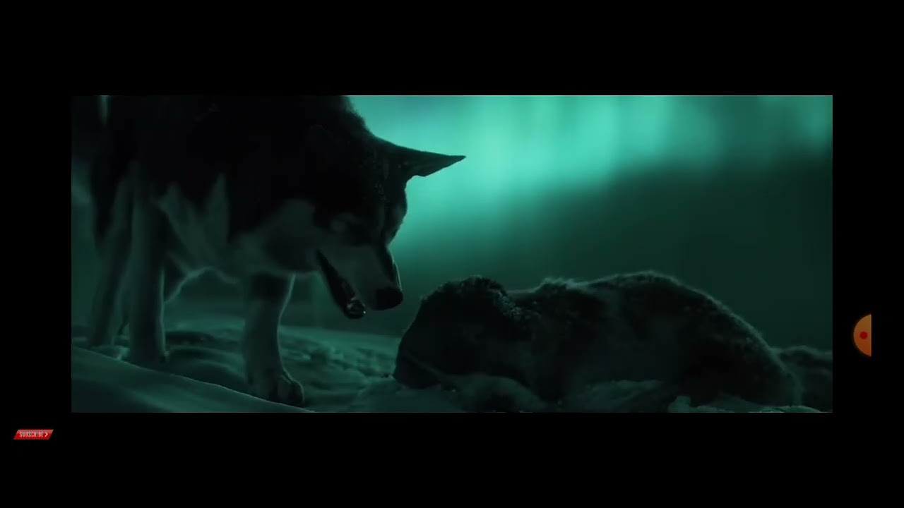 Buck vs spitz - YouTube