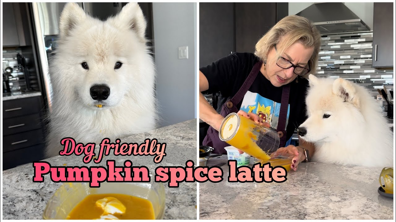 Boomer x Grandma cooking show | Dog friendly recipe - YouTube