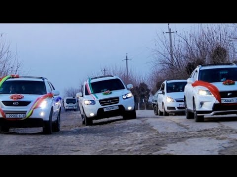 Туй Гулистон