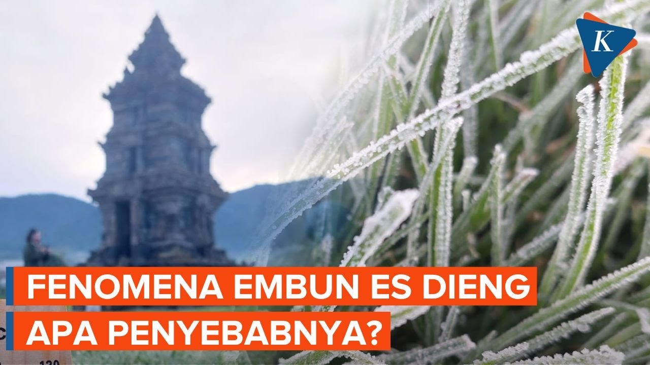Penyebab Dieng Diselimuti Embun Es Mirip Salju - YouTube