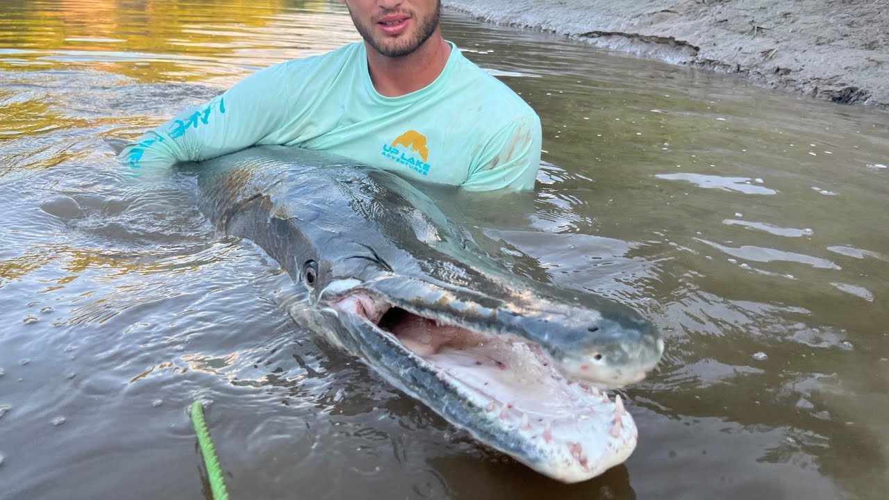 Unstoppable Fish Tows Our 1000 Pound Boat! - YouTube