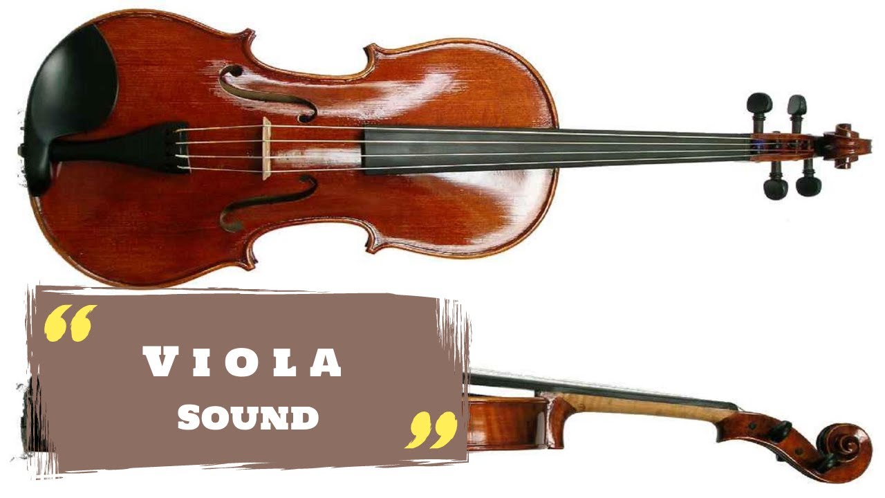 Viola Sound Music Instrument - YouTube