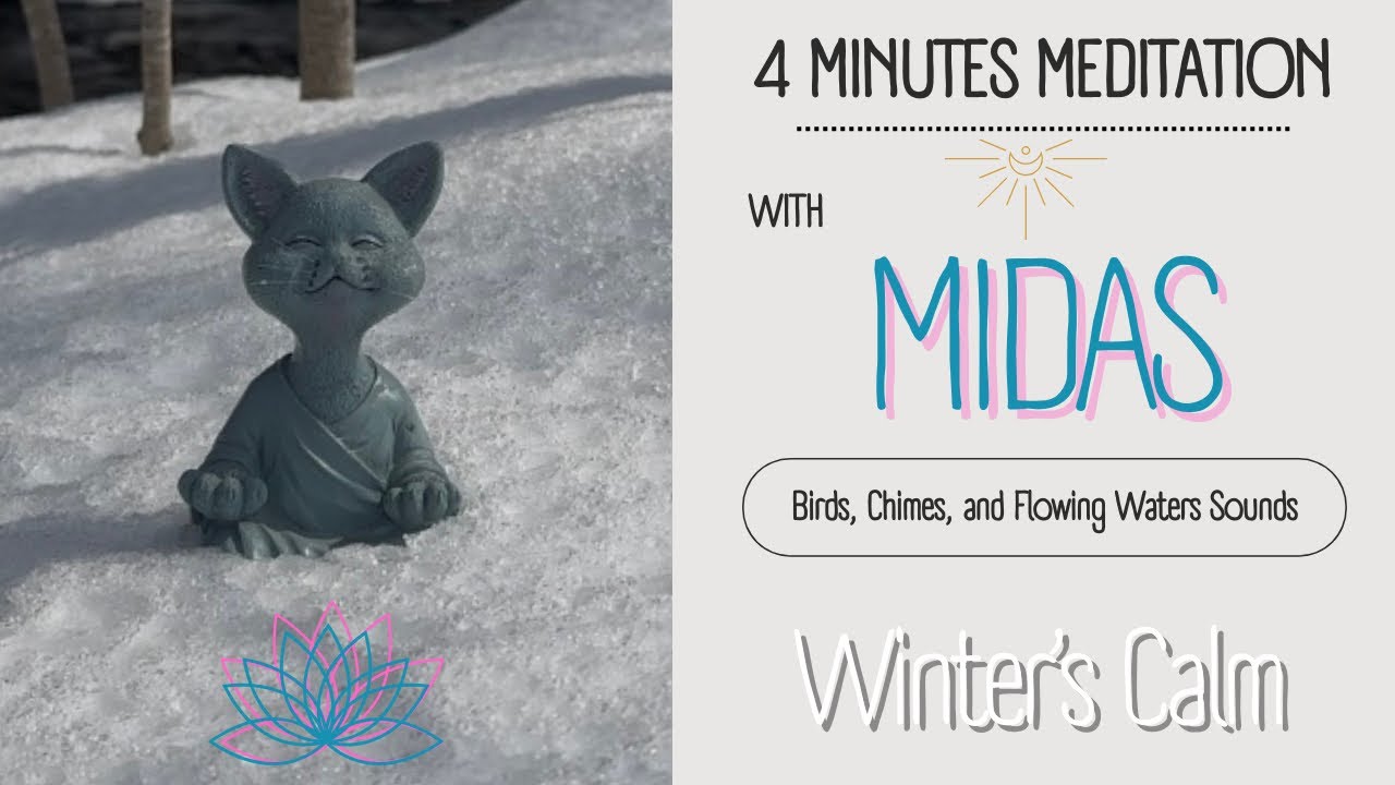 Winter’s Calm: Meditate with Midas - Snow, Birds, and Gentle River ...