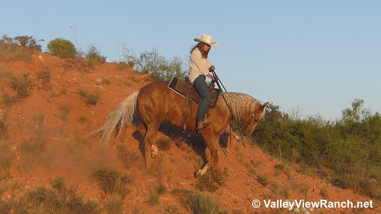 Genuine Cowboy Bars - canyons trail ride! - ValleyViewRanch.net - YouTube