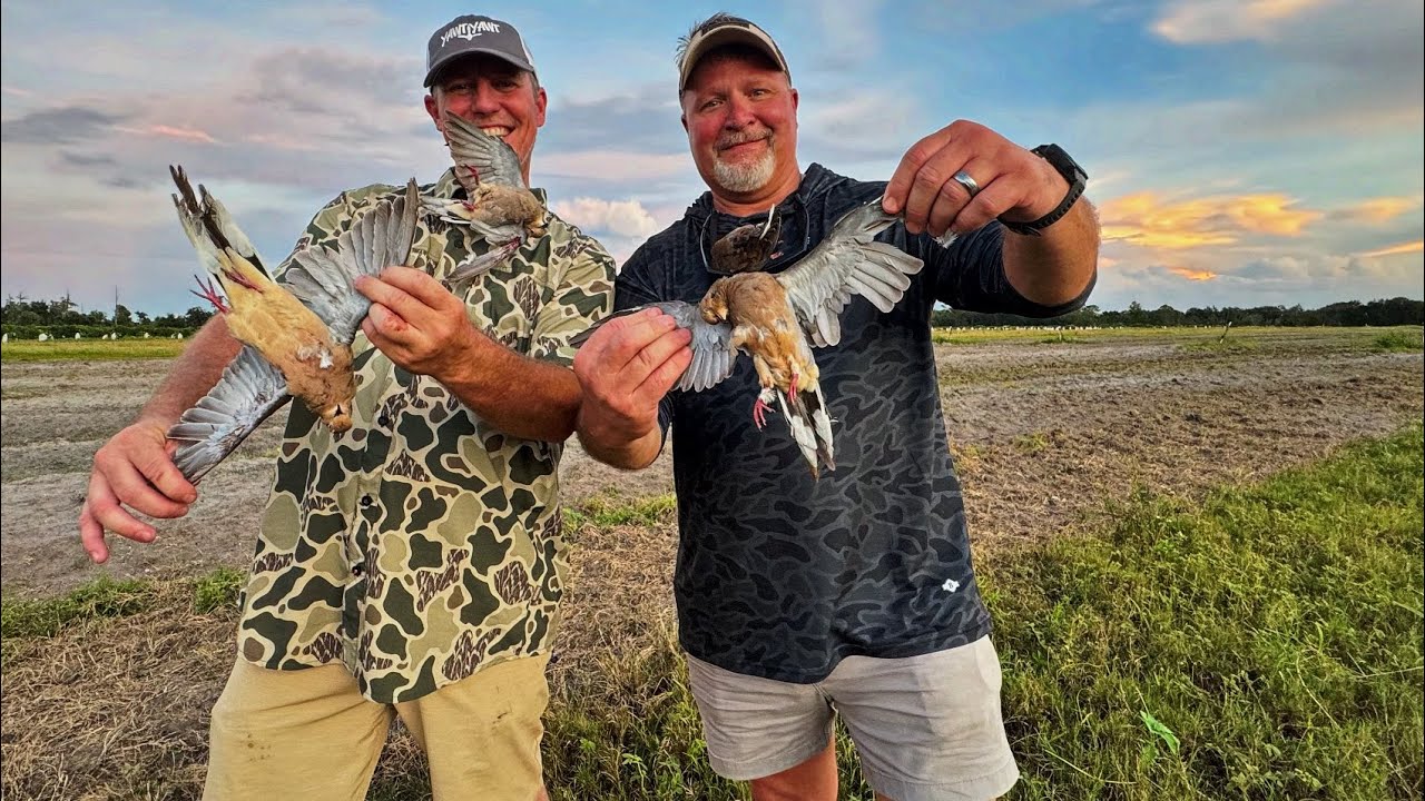 Dove hunting DUMMIES of Florida. LOTS OF LAUGHS!!! - YouTube