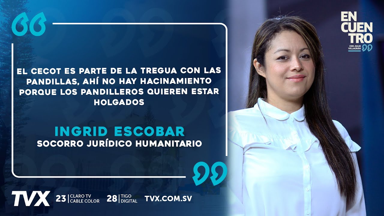 Encuentro TVX: Ingrid Escobar, integrante de Socorro Jurídico ...