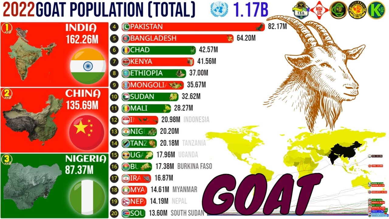 The Largest Goat Population in the World - YouTube