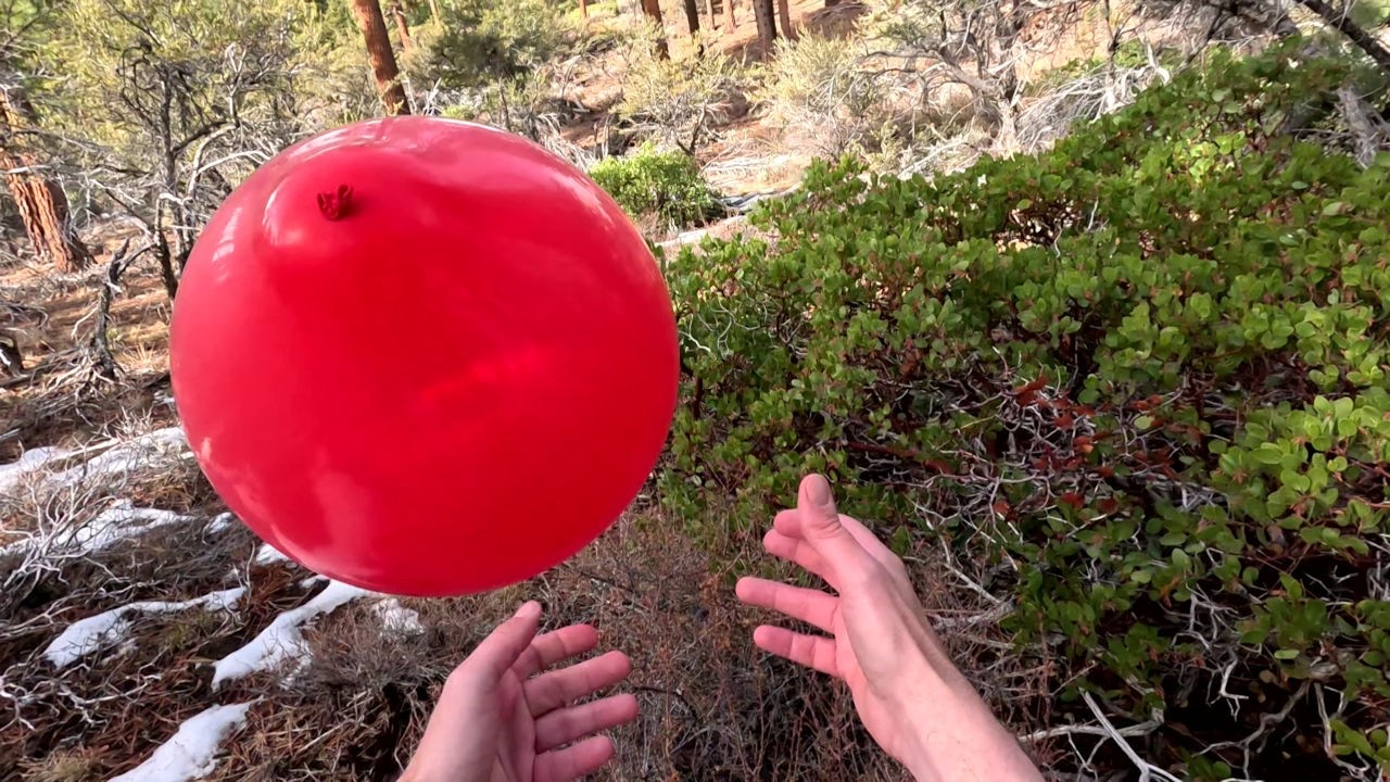 Red Balloons Playing and Popping on a Windy Day, 4K UHD, Forest Balloon ...