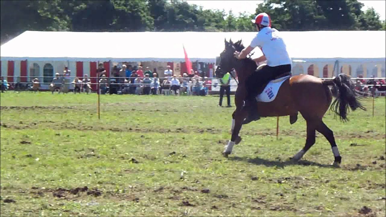 MOUNTED GAMES WORLD CHAMPIONSHIPS 2011 - YouTube