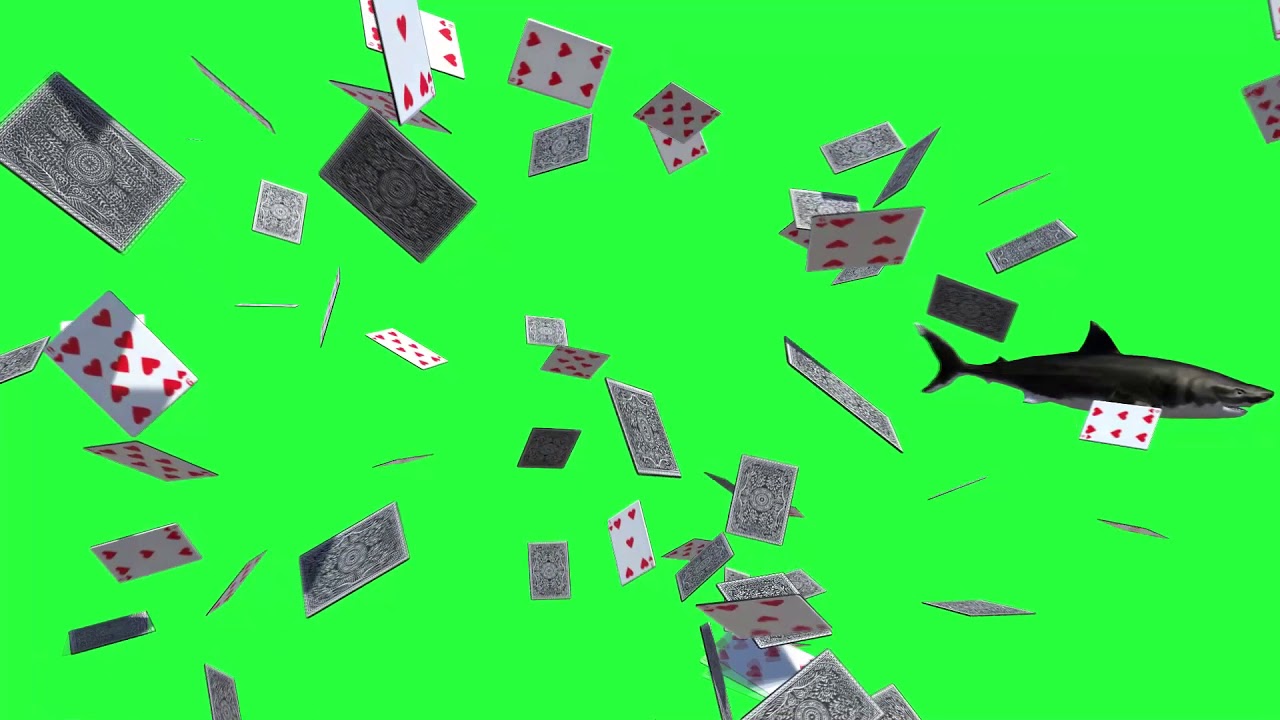 Amazing Card Sharks Green Screen Animation Video - YouTube